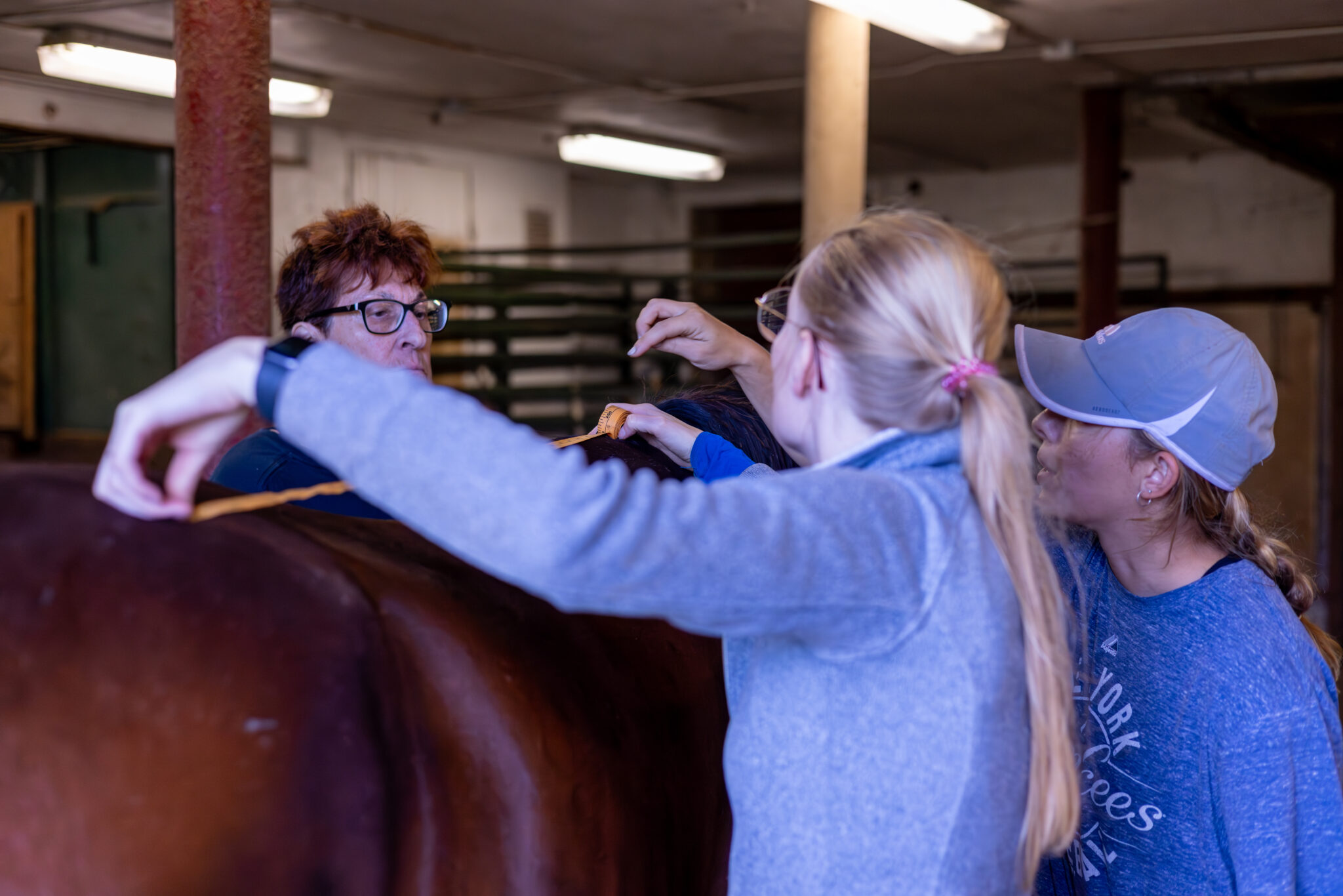 Student Spotlight: Amelia Puglia | Equine Science Center